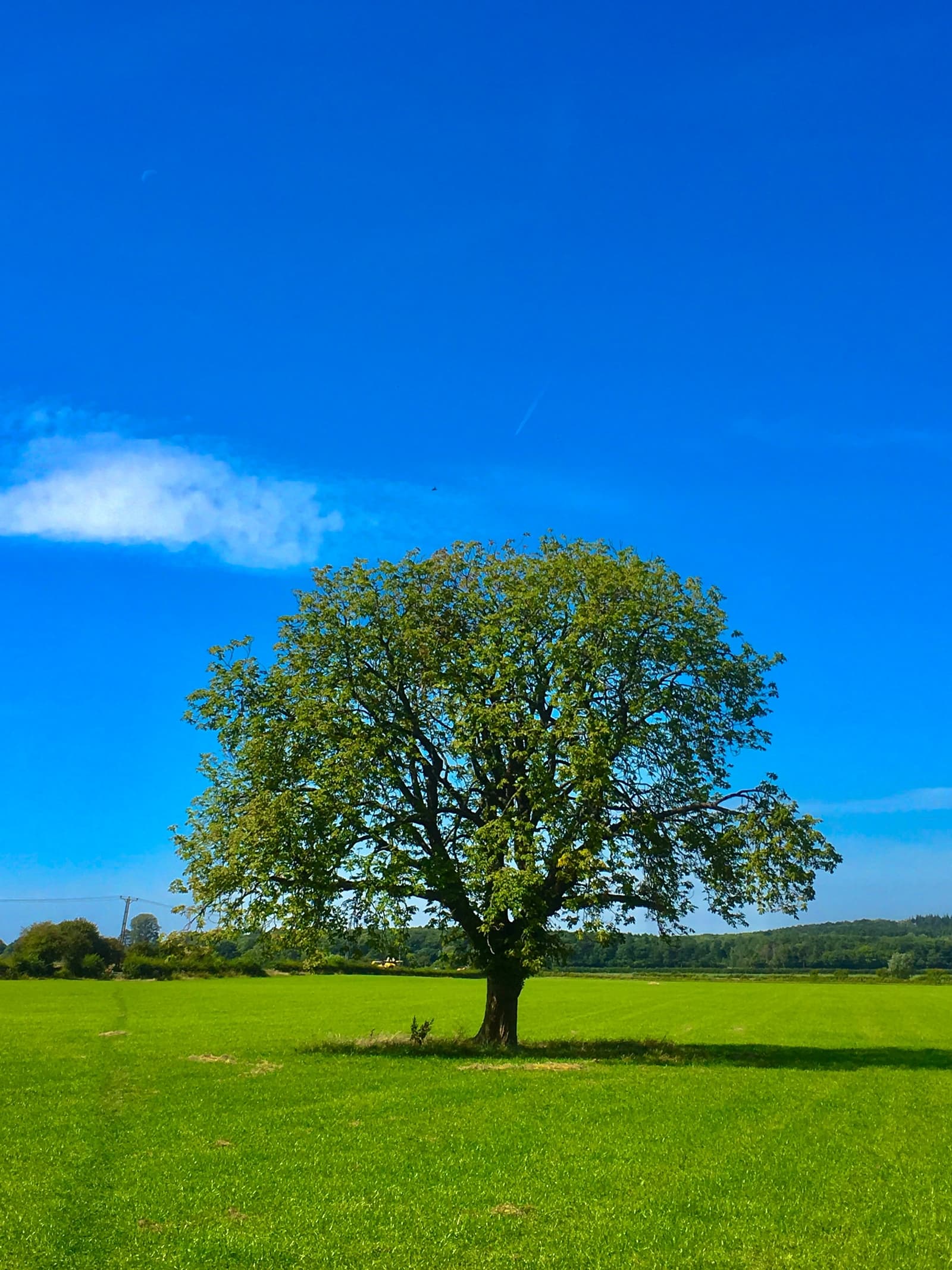 What Is A Durable Power Of Attorney 